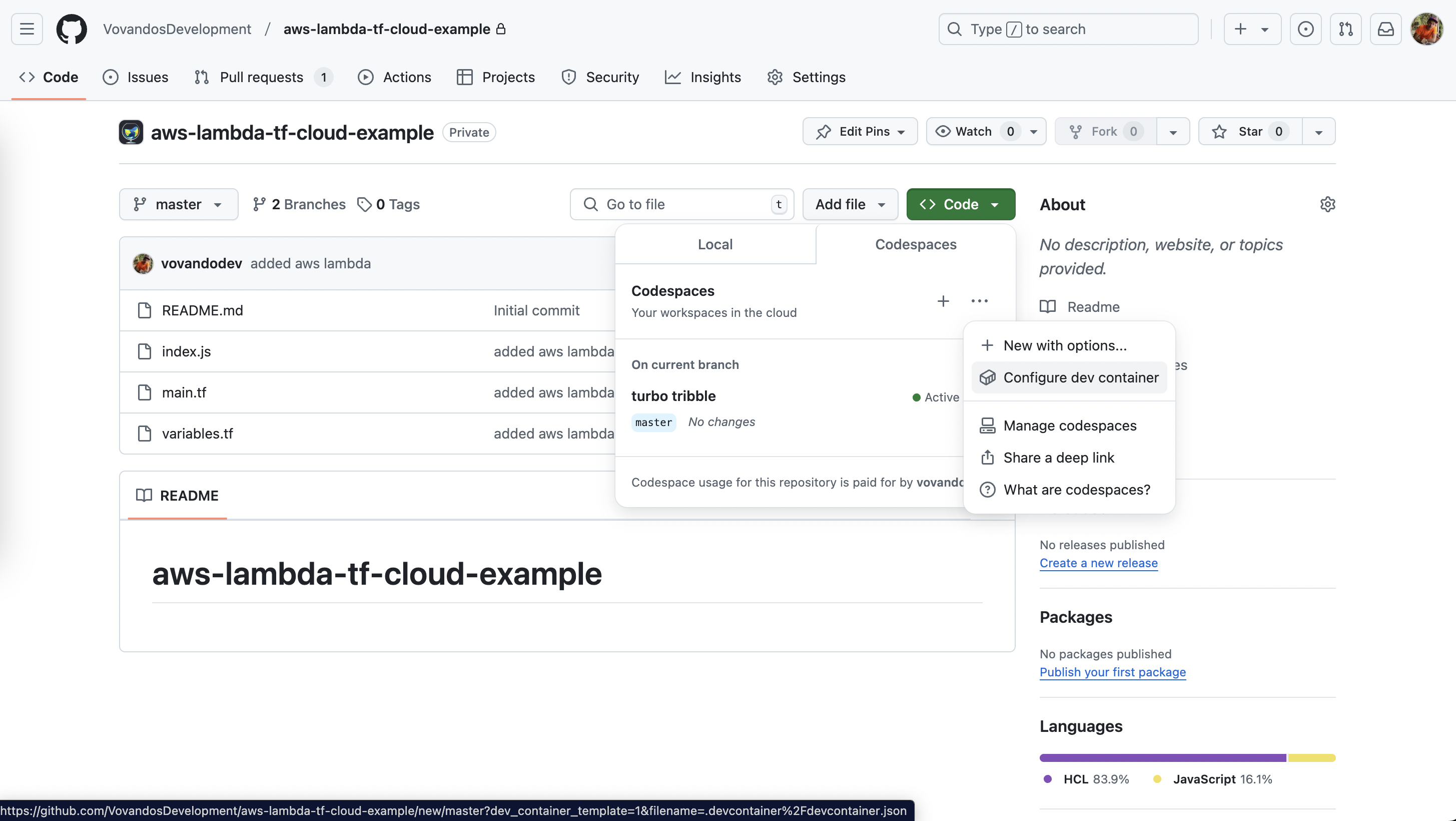 Terraform in GitHub Codespaces | Vovando Dev